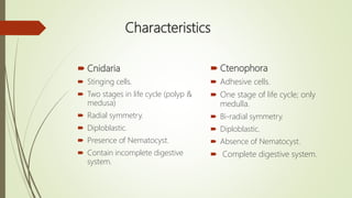 Cnidaria&ctenophora | PPTX
