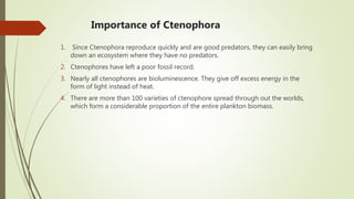 Cnidaria&ctenophora | PPTX