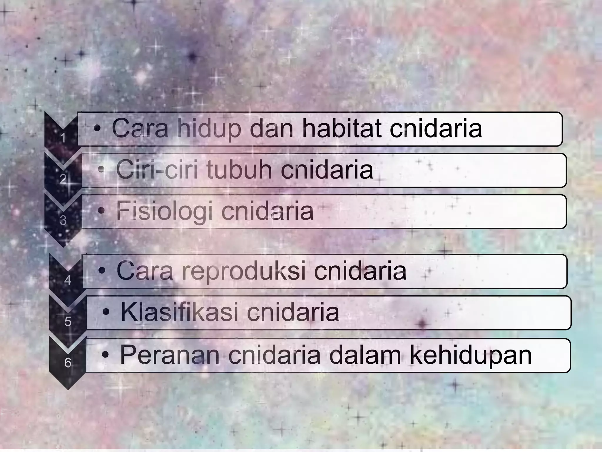 Cnidaria | PPTX