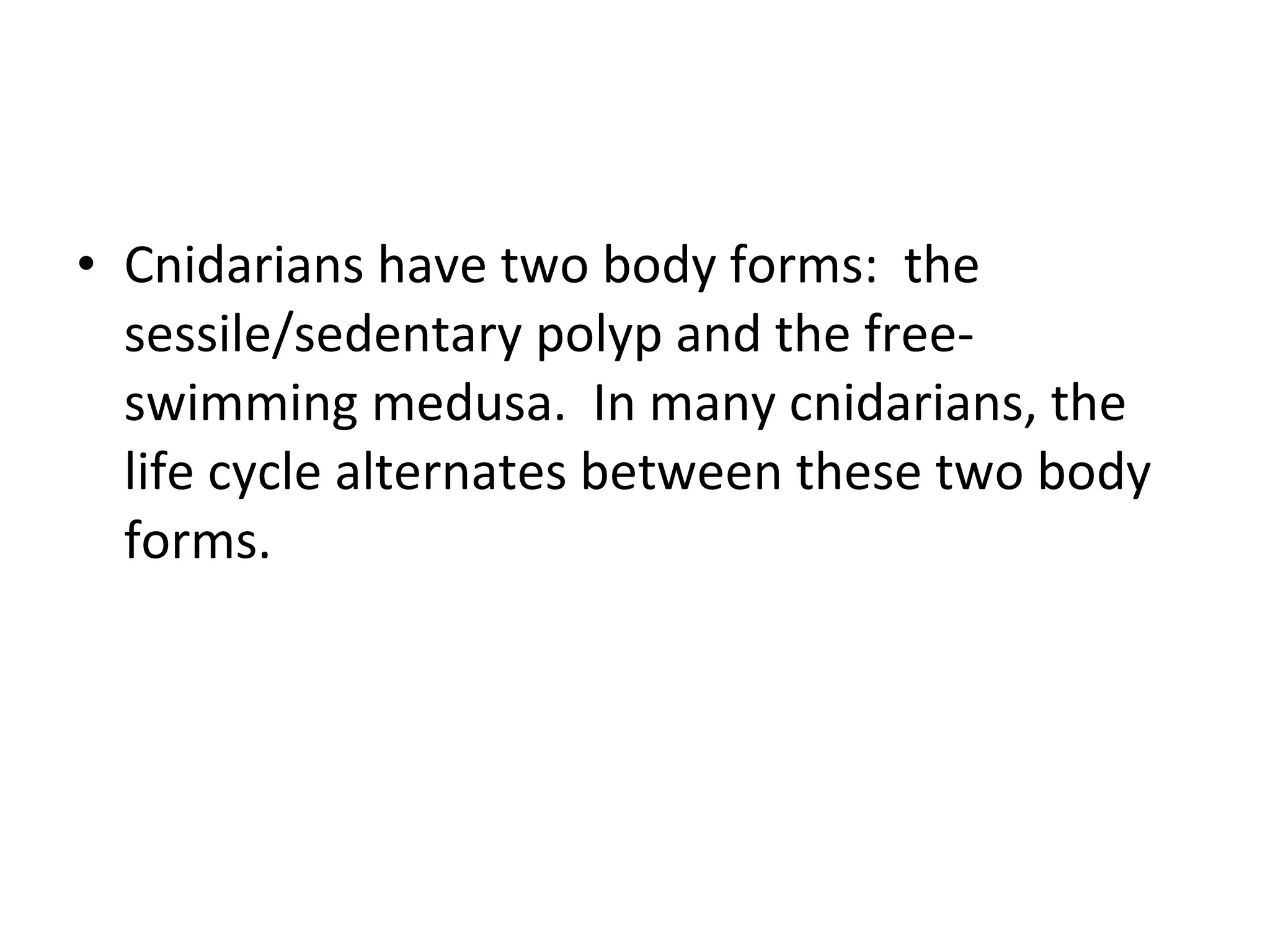 Cnidarians | PPT