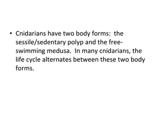 Cnidarians | PPT