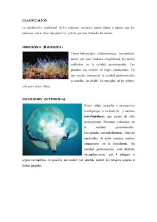 Cnidarios | DOCX
