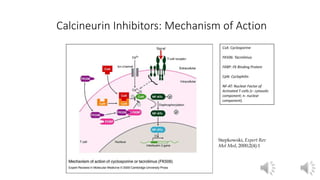 calcineurin Inhibitors | PPT