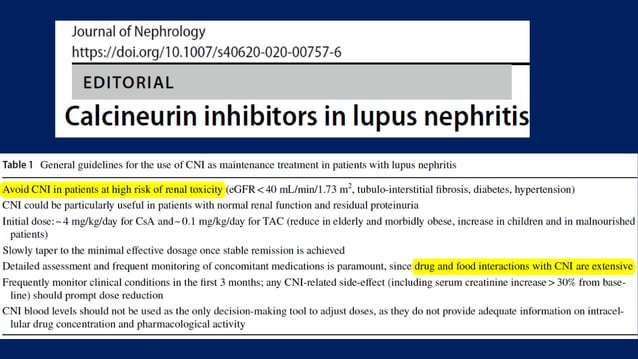 Calcineurin inhibitors in lupus nephritis. | PPT
