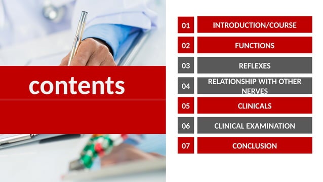 Glossopharyngeal Nerve: Anatomy, Function & Clinical Significance. IX ...