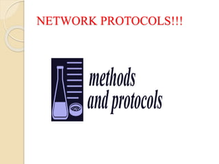 Computer Network & Layered Protocols | PPTX