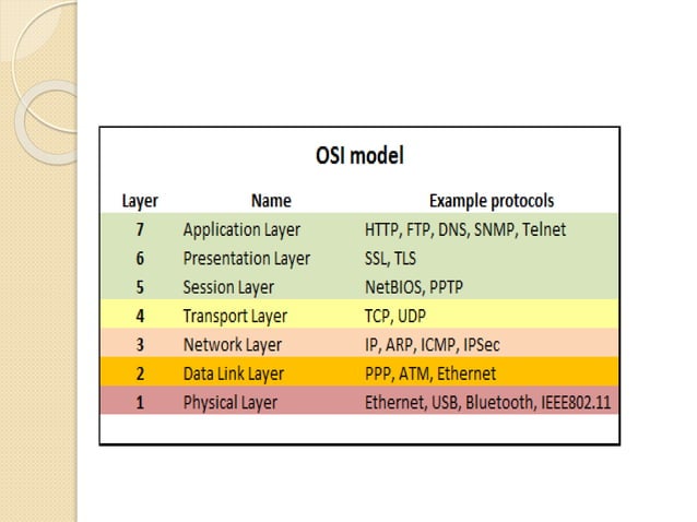 Computer Network & Layered Protocols | PPTX