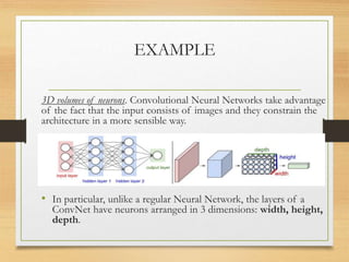 CONVOLUTIONAL NEURAL NETWORK | PPTX