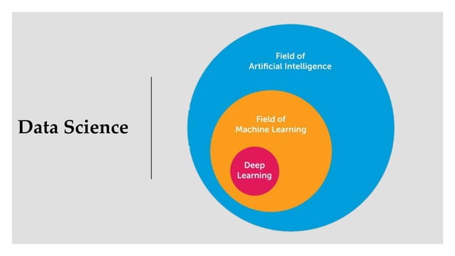Cnn | PPTX | Technology Industry | Industries