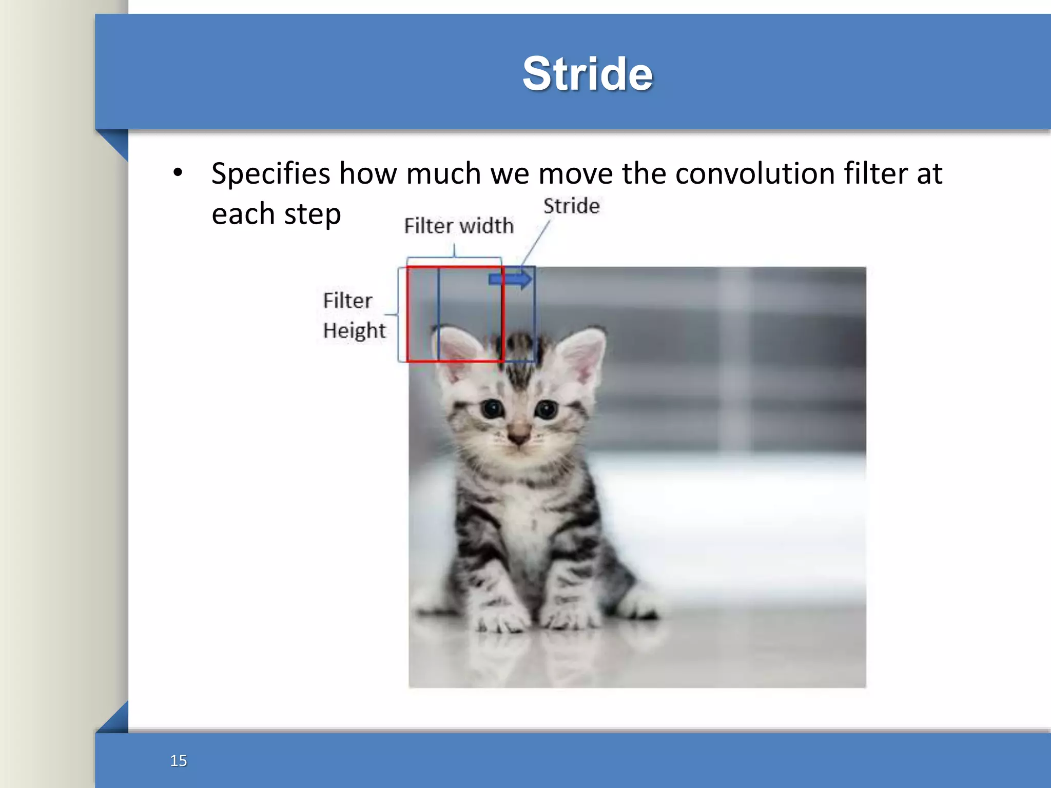 Convolutional Neural Networks | PPTX