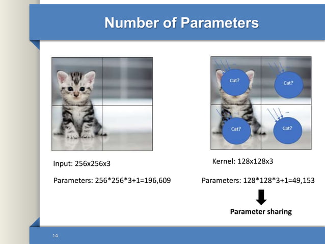 Convolutional Neural Networks | PPTX