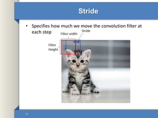 Convolutional Neural Networks | PPTX