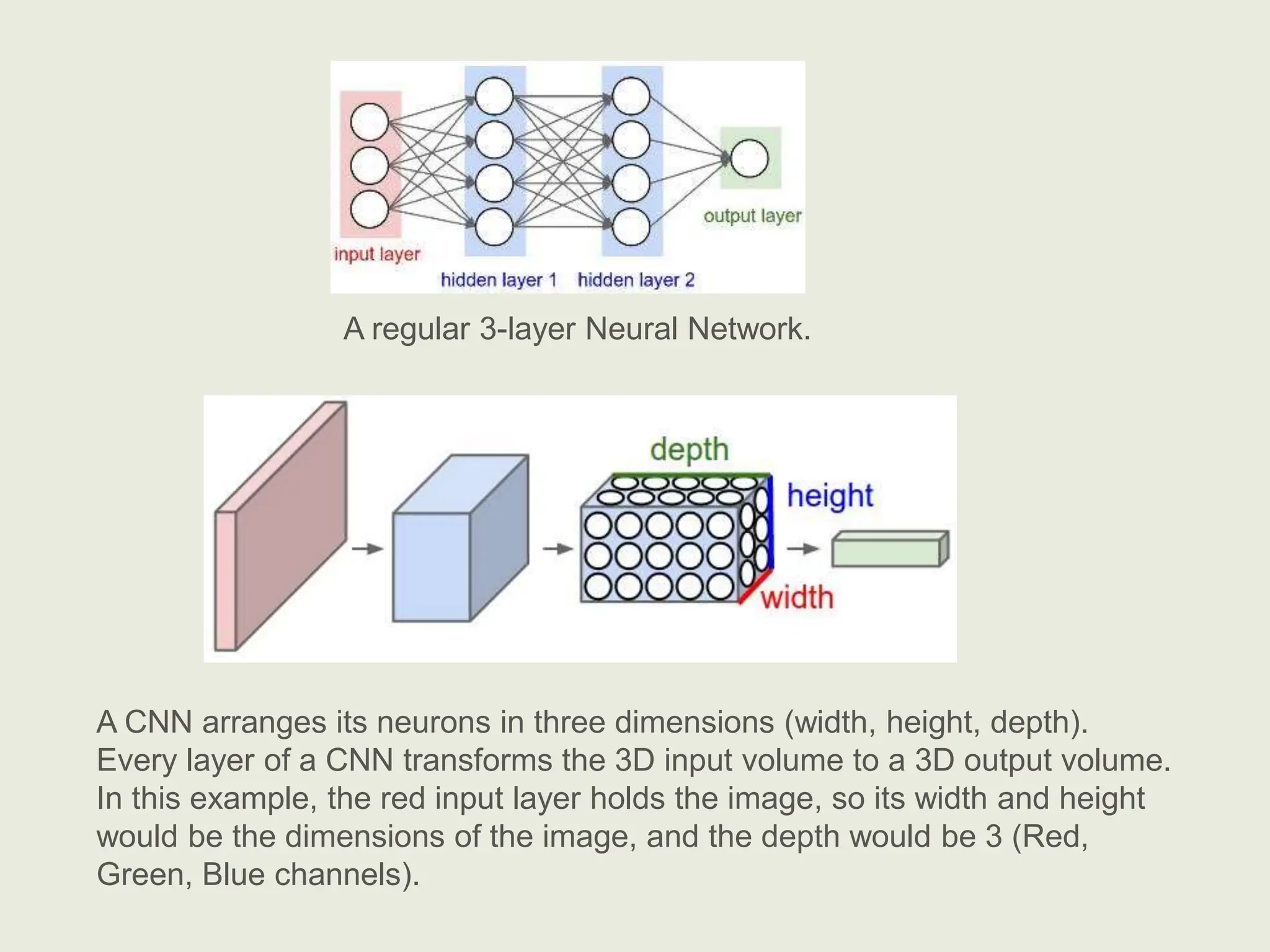 cnn.pptx Convolutional neural network used for image classication | PPT