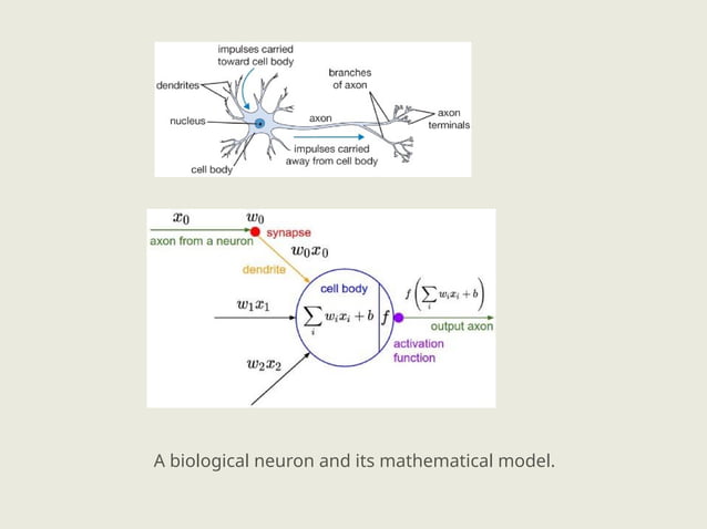 Introduction to Convolutional Neural Network.pptx