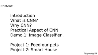 Demo3 Convolutional Neural Network | PPT
