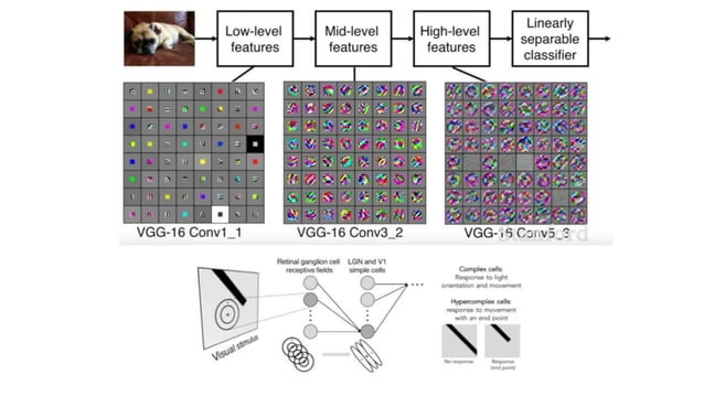 Deep Learning or Convolutional Neural Network | PPT