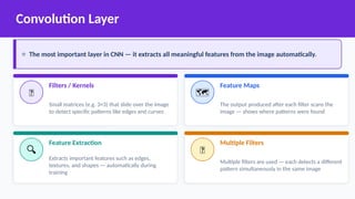 Comprehensive Overview of CNN Architecture and Image Processing | PPTX