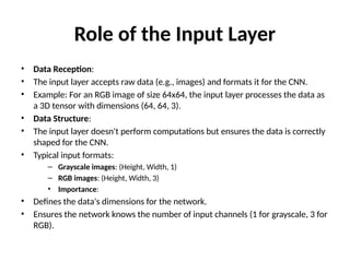 CNN_Presentation to learn the basics of CNN Model.pptx