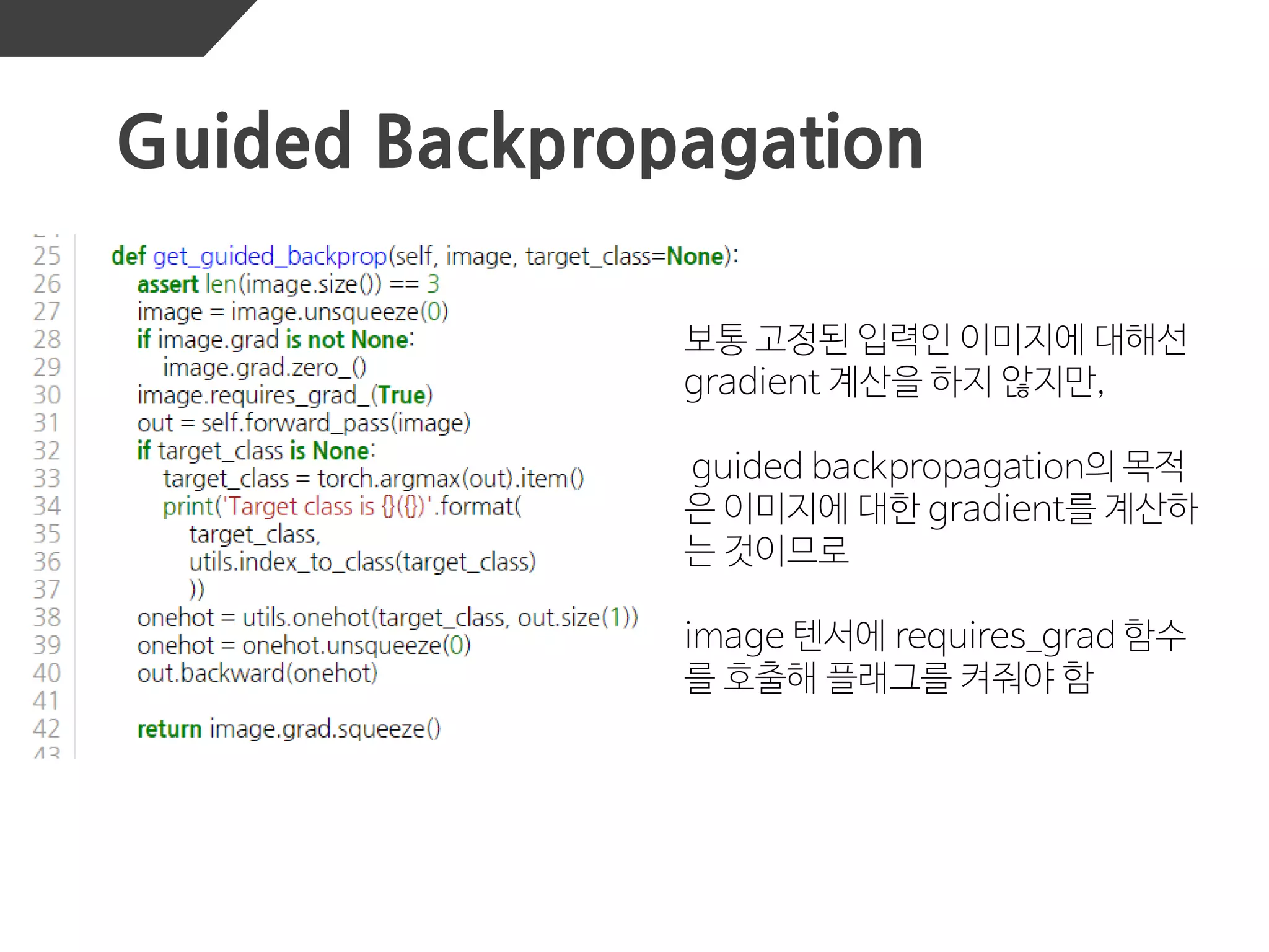 CNN visualization implementaion | PPT