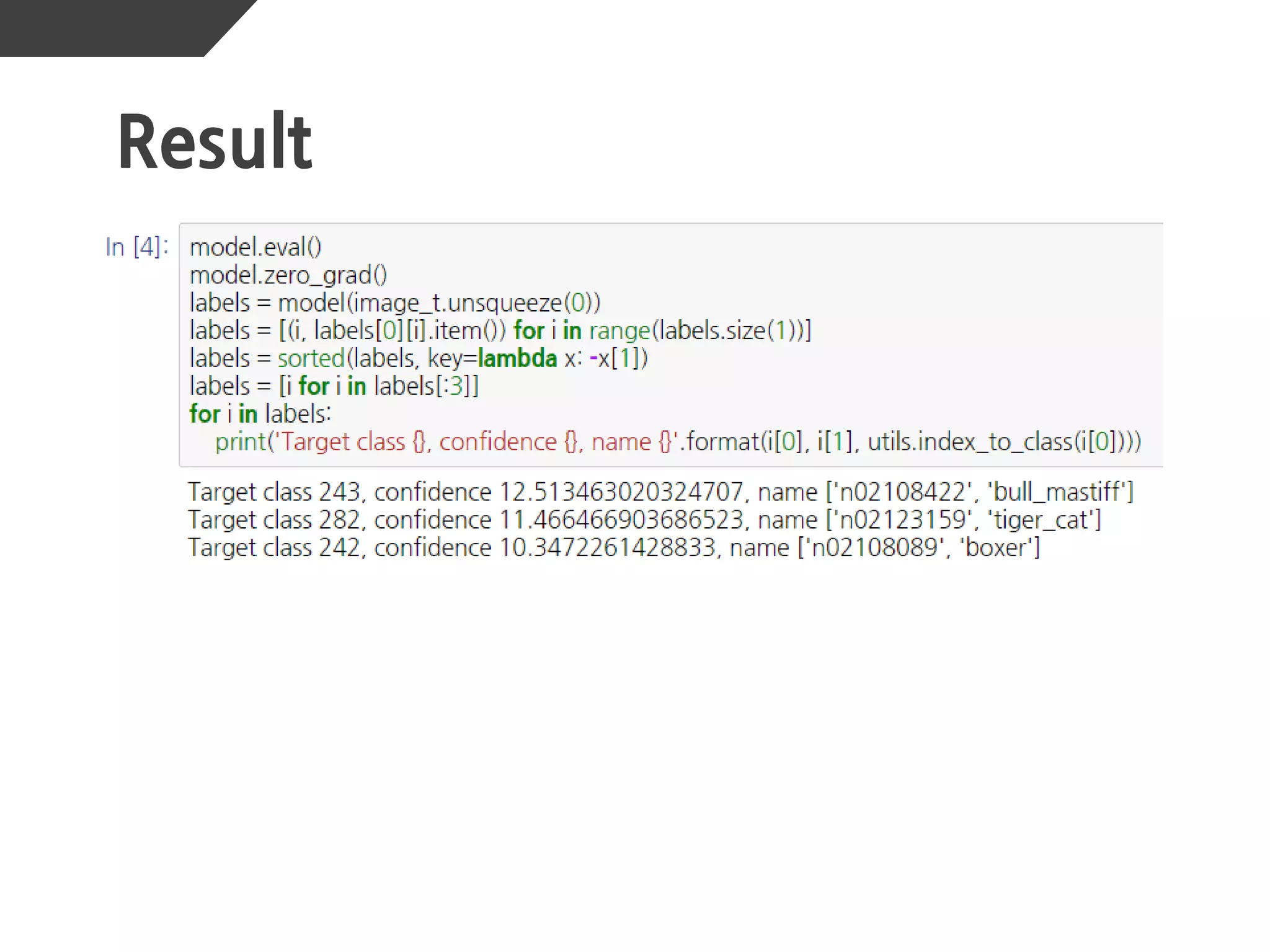 CNN visualization implementaion | PPT