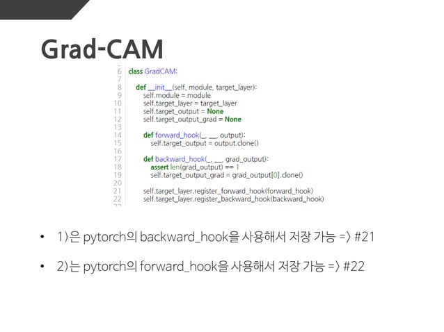 CNN visualization implementaion | PPT