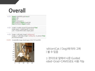 CNN visualization implementaion | PPT