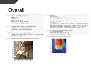 CNN visualization implementaion | PPT