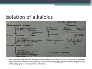 Introduction to alkaloids | PPTX
