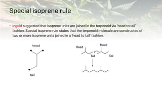 TERPENOIDS classification isolation isoprene rule Sajna.pdf