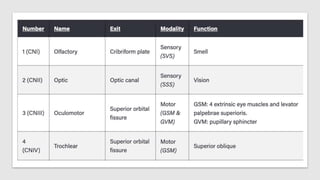 CN Pathways.pptx