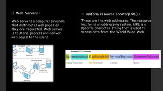 world wide web | PPT