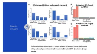 Mutanti di APOBEC1 per lo sviluppo di nuovi Base Editors con ridotti ...
