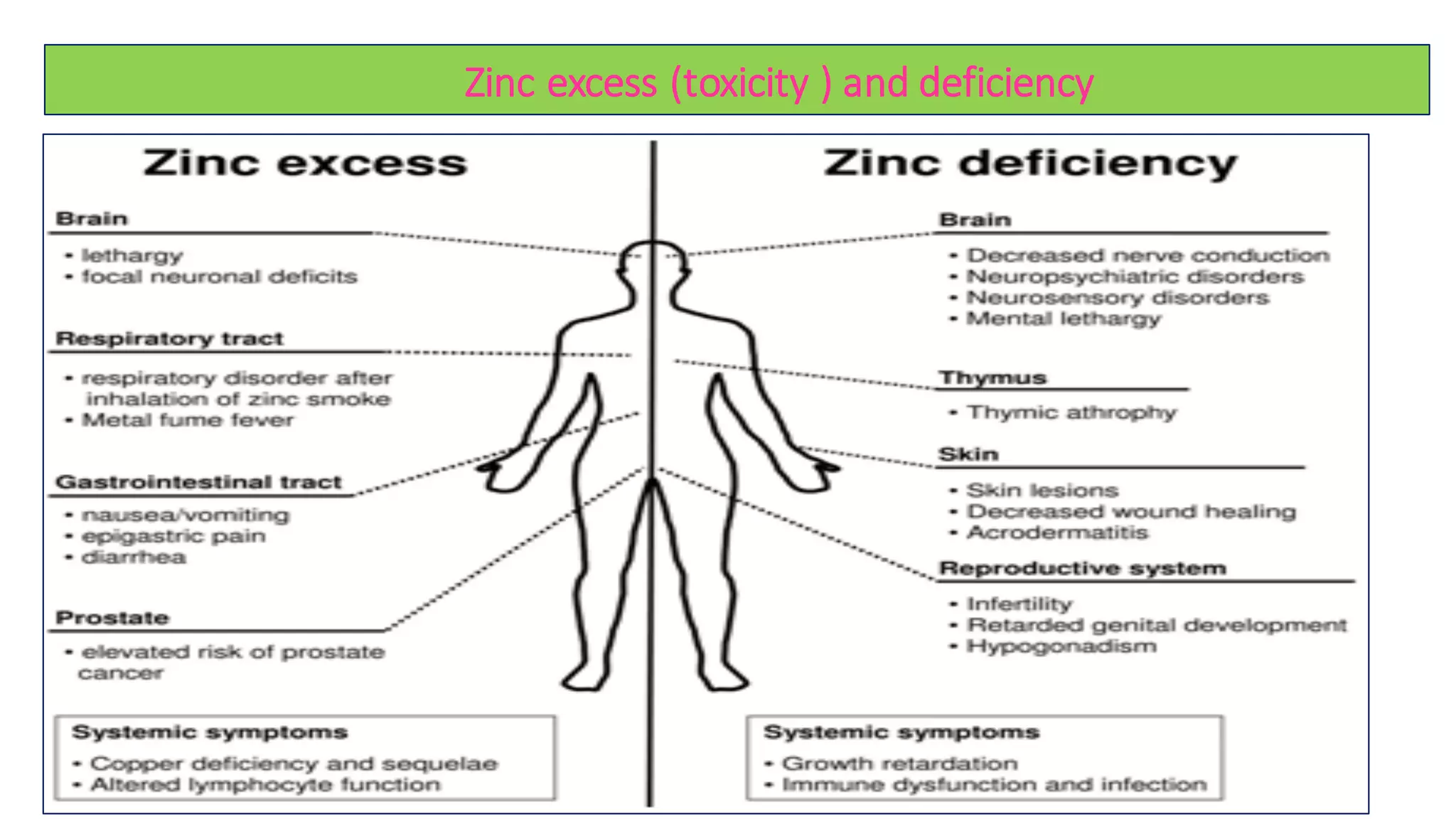 Metabolism of zinc and its clinical significance | PDF