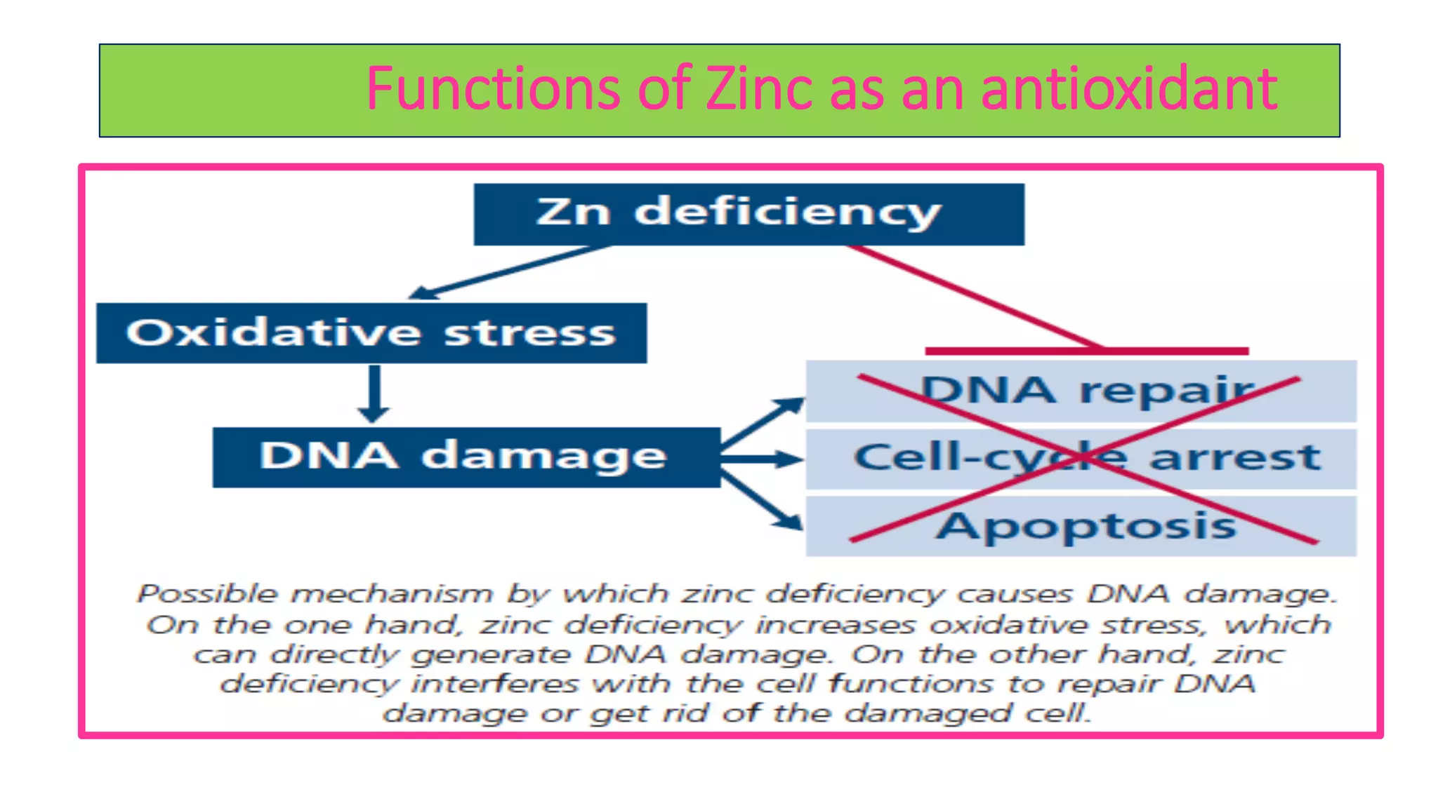 Metabolism of zinc and its clinical significance | PDF