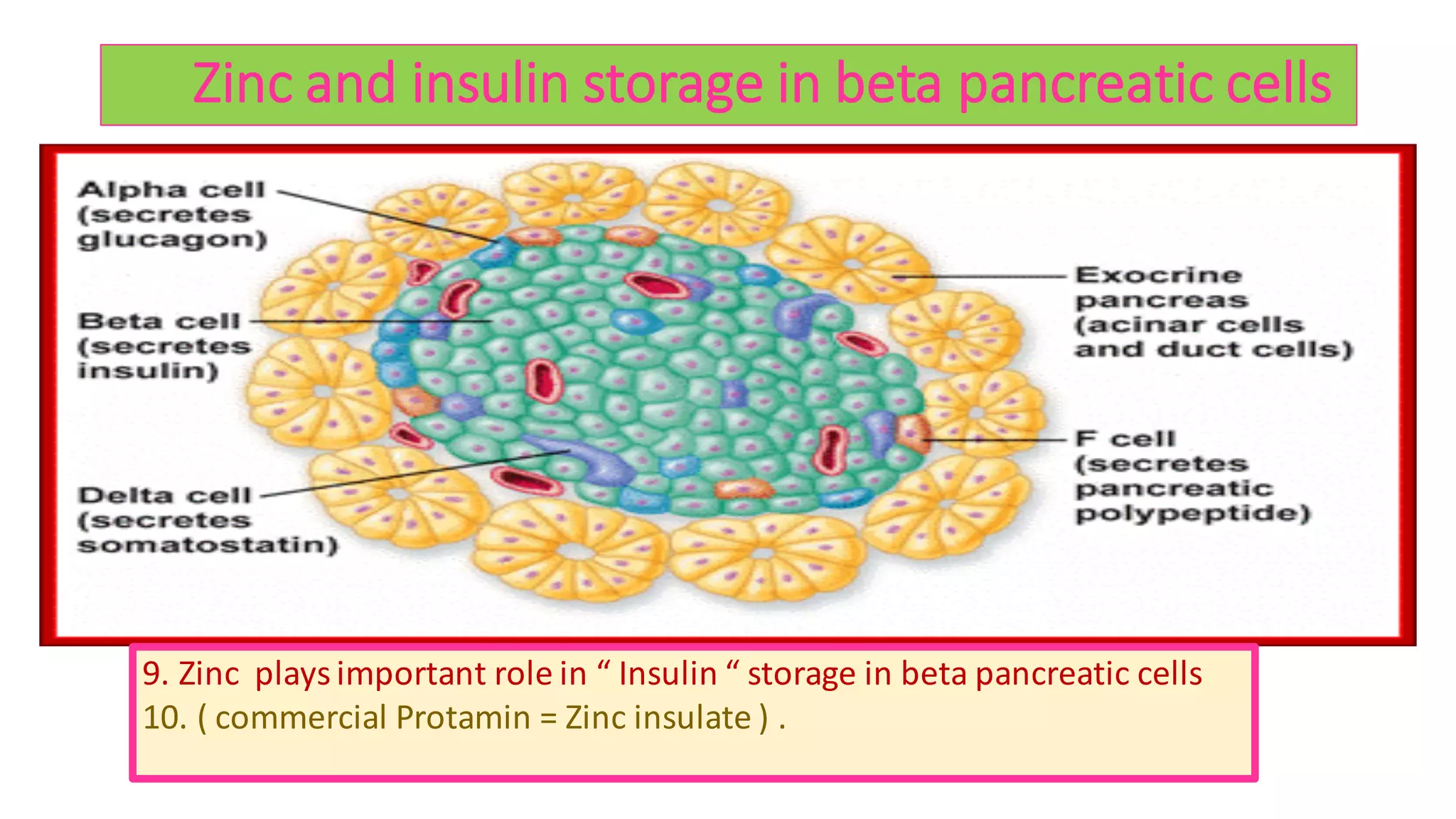 Metabolism of zinc and its clinical significance | PDF