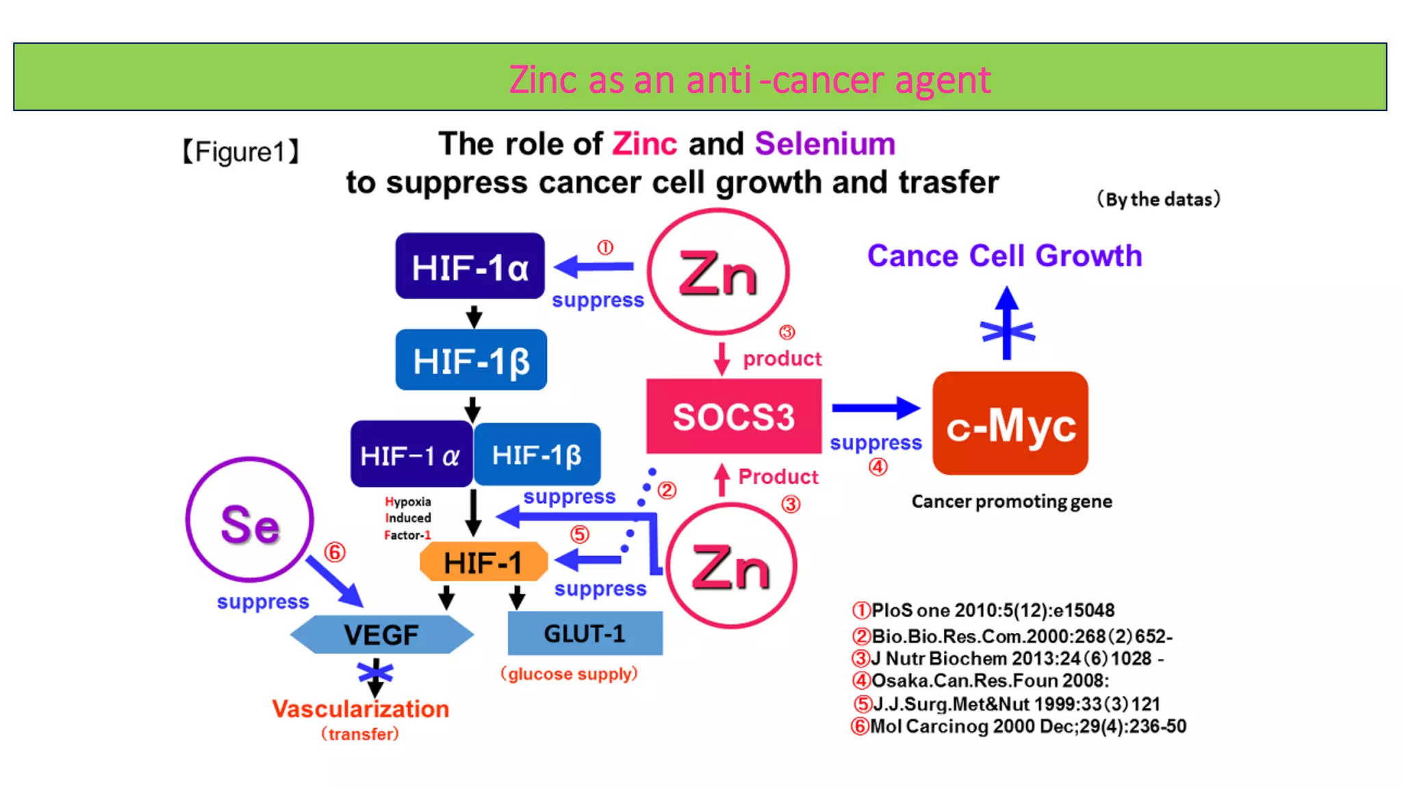 Metabolism of zinc and its clinical significance | PDF