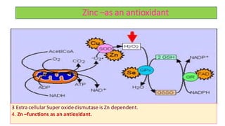 Metabolism of zinc and its clinical significance | PDF