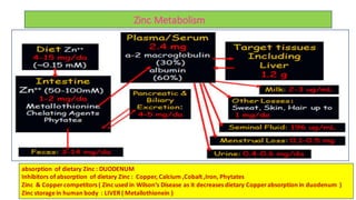 Metabolism of zinc and its clinical significance | PDF