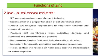 Metabolism of zinc and its clinical significance | PDF