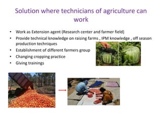 Food supply chain | PPTX