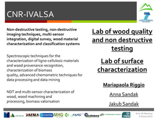 Cnr presentation | PDF