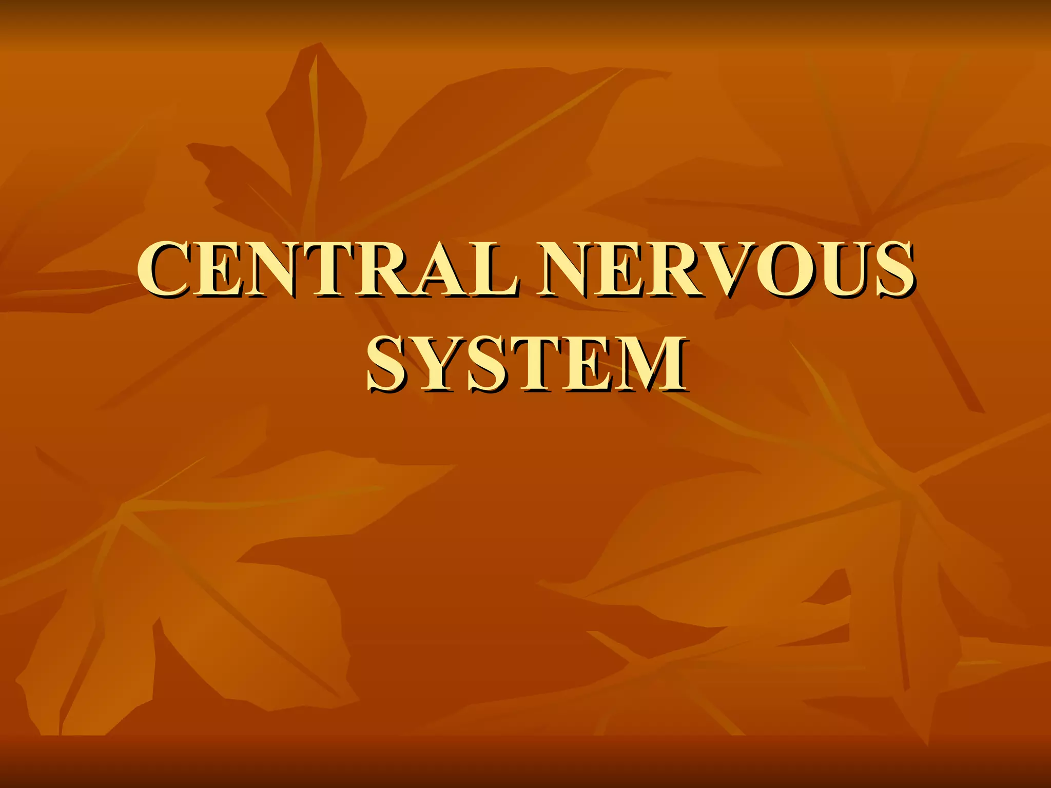 Cns | PPT