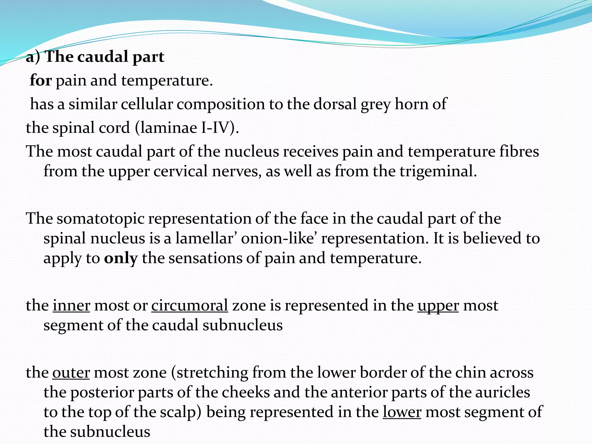 the cranial nerves | PPTX
