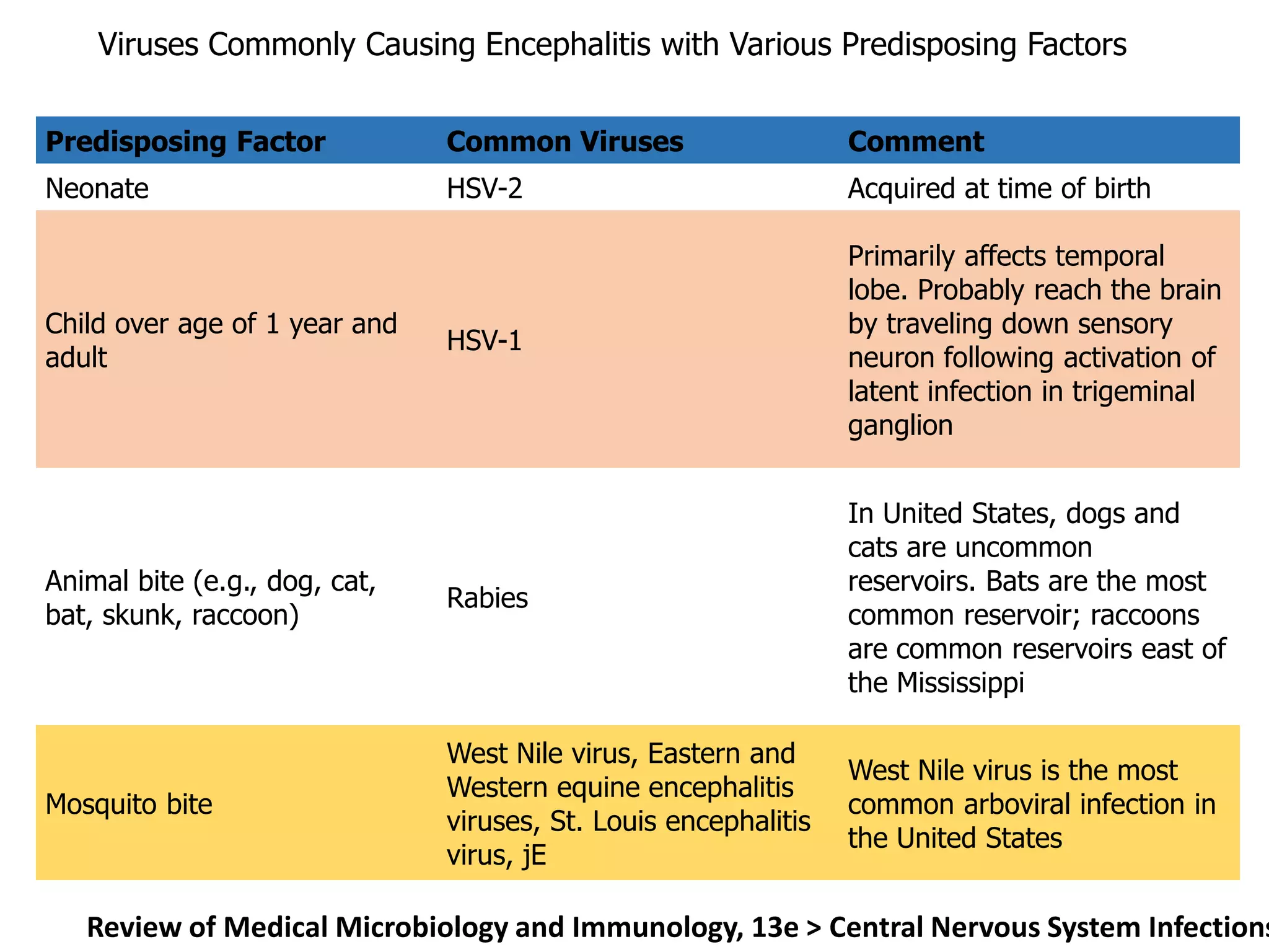 common CNS disease in pediatric | PPTX