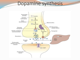 Neurohumoral transission in CNS | PPTX