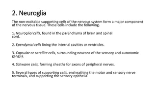 Central Nerves System | PPT