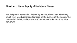 Central Nerves System | PPT