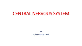 CNS | PPTX