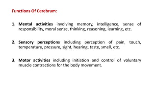 CNS | PPTX