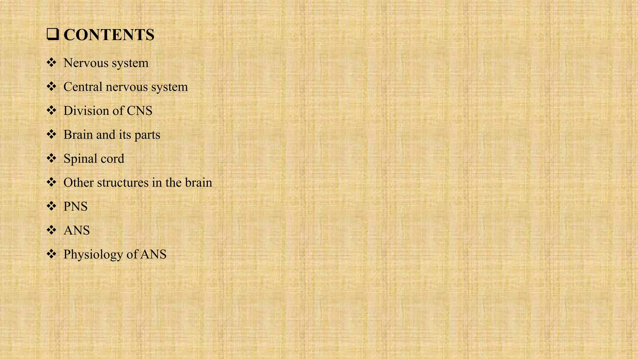 Central Nervous System | PPTX